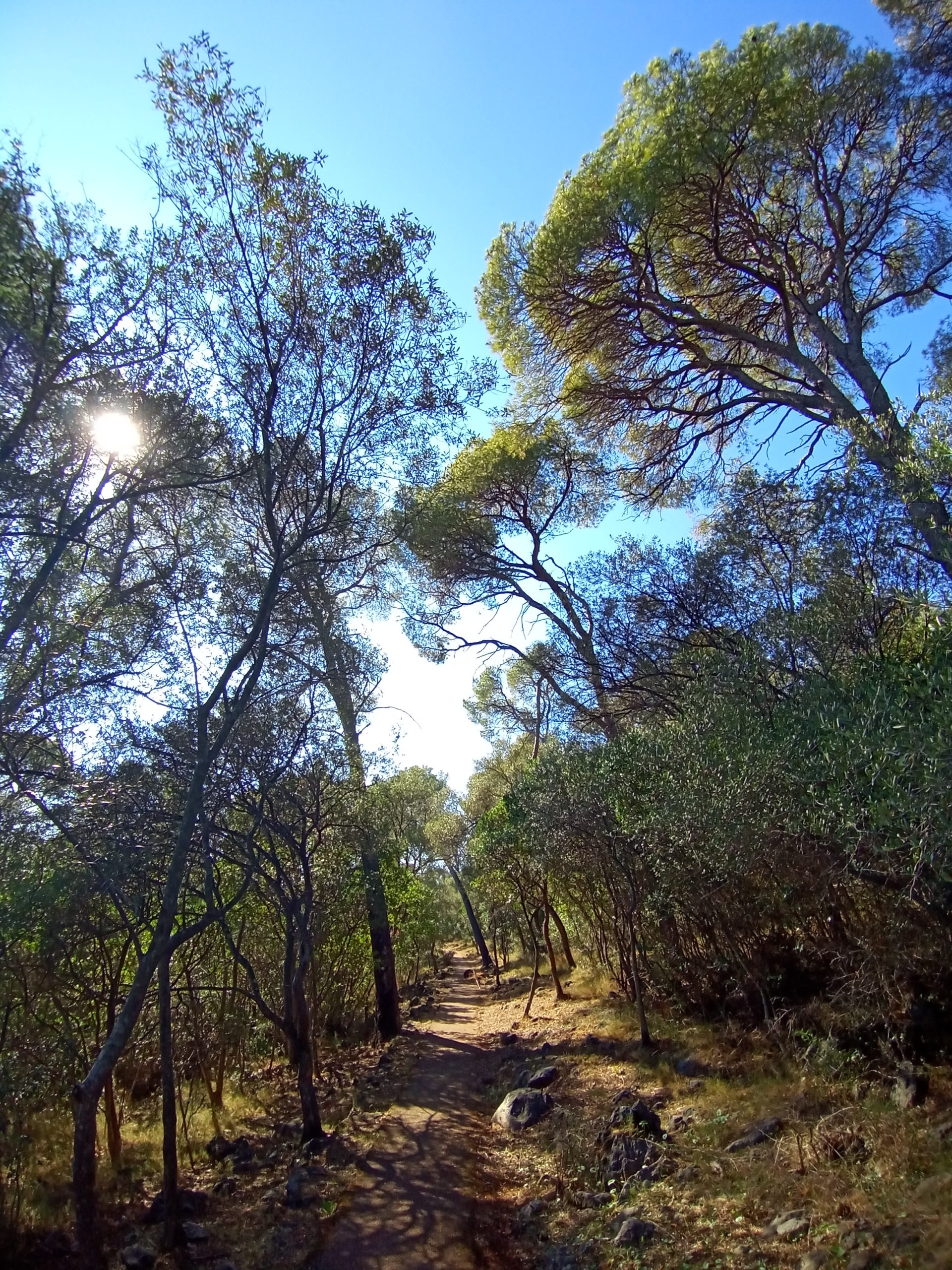 Tours | Nice Nature Walks